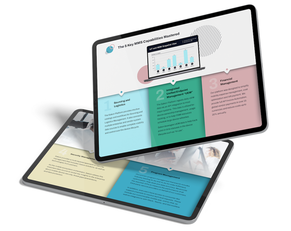 Learn What Partnering with Sakon for MMS Can Do For You 2025